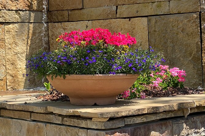 Dallas Arboretum and Botanical Gardens Tour - What the Reviews Say