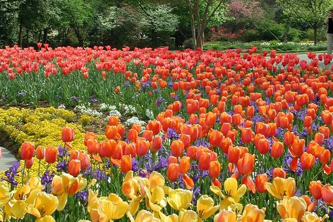 Dallas Arboretum and Botanical Gardens Tour - Price & Value