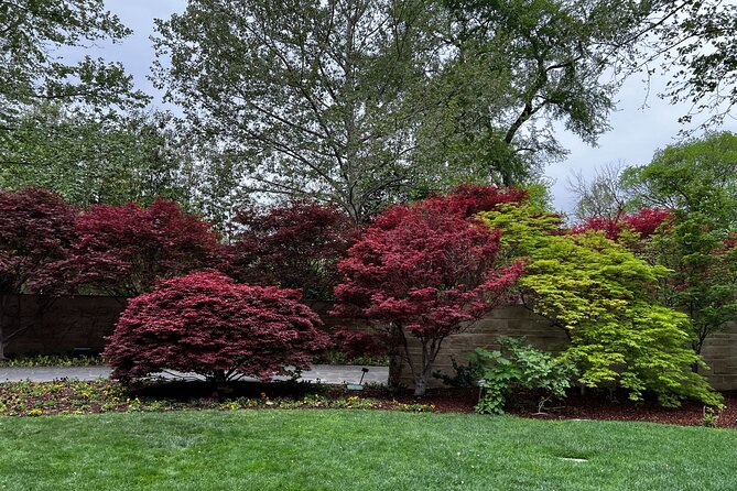 Dallas Arboretum and Botanical Gardens Tour - Who Should Book This Tour?