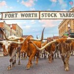 Dallas Highlights & Fort Worth Highlights Day Tour - Who Will Love This Tour?