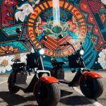Dallas Mural Fat-Tire Scooter Tour - Who Will Love This Tour?