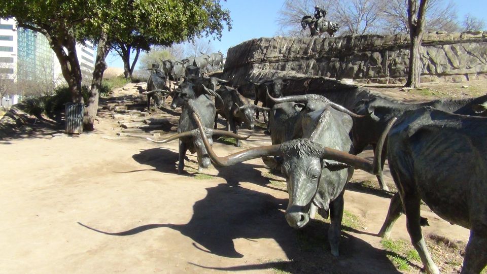 Dallas: Welcome to Dallas 3-Hour Small Group Tour by Van - Transport and Group Size: Why It Matters