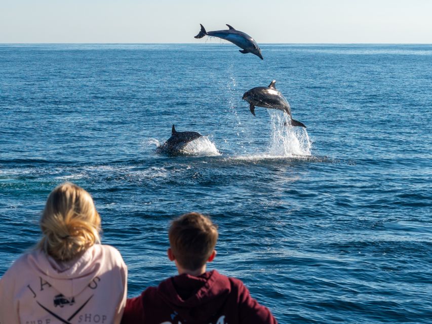 Dana Point Dolphin & Whale Watching With Underwater Viewing - Frequently Asked Questions