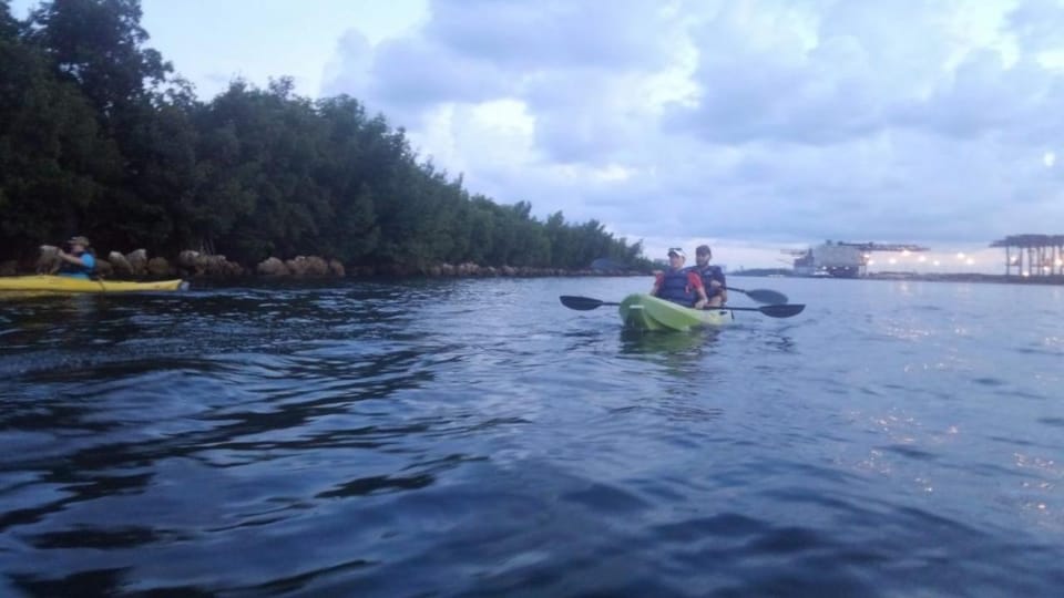 Dania Beach: Kayaks, Canoes & Paddleboards Rental - Who Will Love This Experience?