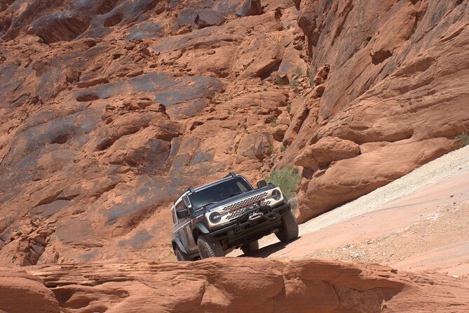 Dark Skies Stargazing Adventure with Luxury Bronco Rental - Why This Experience Is Worth Considering