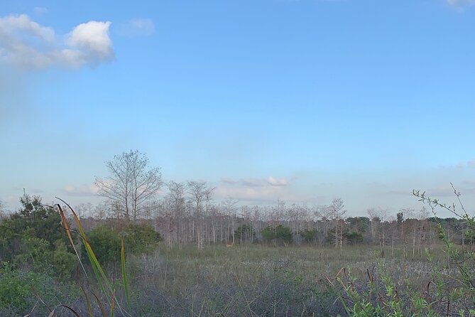 Dark Sky's in the Florida Everglades - An Evening in the Everglades: Stargazing at Big Cypress National Preserve  