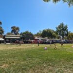 Davis Scavenger Hunt Walking Tour and Game - Who Will Love This Tour?