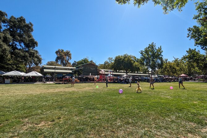 Davis Scavenger Hunt Walking Tour and Game - Who Will Love This Tour?