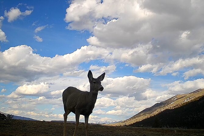 Day Hike in Yellowstone - Final Thoughts
