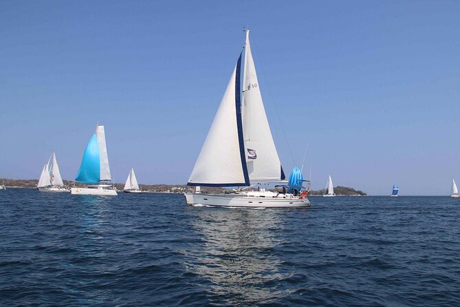 Day Sailing Adventure in the Florida Marine Sanctuary - Key Points