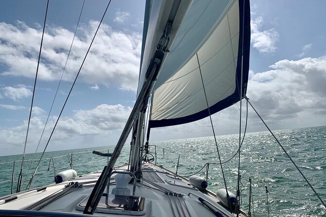 Day Sailing Adventure in the Florida Marine Sanctuary - What to Expect from the Day Sailing Adventure