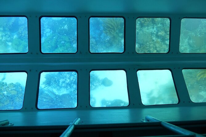 Day Tour Glass Bottom Boat In Islamorada - Frequently Asked Questions