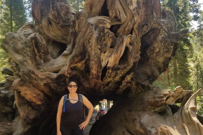 Day Tour to Kings Canyon National Park - What Travelers Say About This Tour
