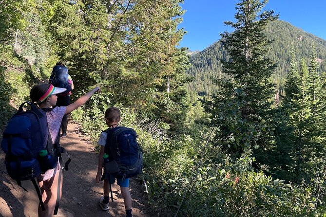 Day Trip Activity at Utah Mountain Backcountry with Box Lunch - Why Choose the Utah Mountain Backcountry Day Trip?