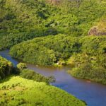Day Trip fr Oahu to Kauai: Highlights & Movie Sites w/ Helicopter - Why This Tour Is Worth Considering