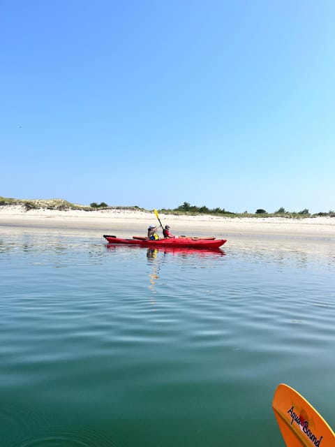 Day Trip from Boston: Guided Kayak at the Crane Estate - The Stops and What They Offer