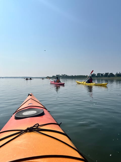 Day Trip from Boston: Guided Kayak at the Crane Estate - Whats Included & Whats Not