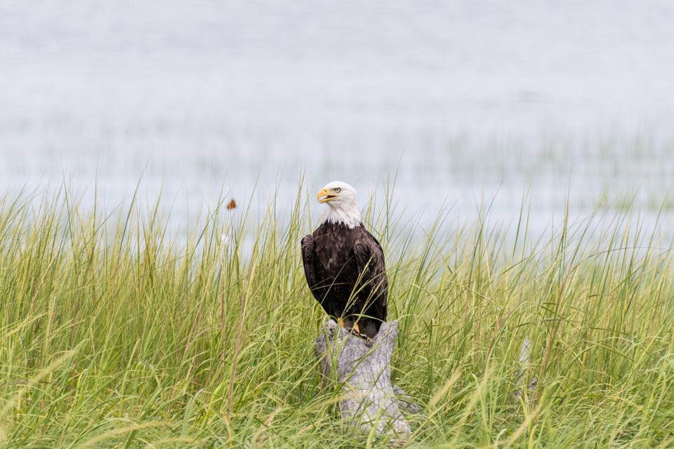Day Trip from Boston: Guided Nature Walk at Crane Estate - What’s Not Included