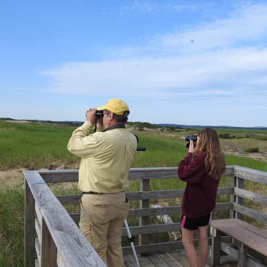 Day Trip from Boston: Guided Nature Walk at Crane Estate - Why This Tour Stands Out