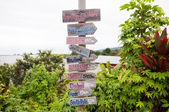 Day Trip from Oahu to Hilo: Volcano Adventure - An In-Depth Look at the Volcano Adventure Tour from Oahu