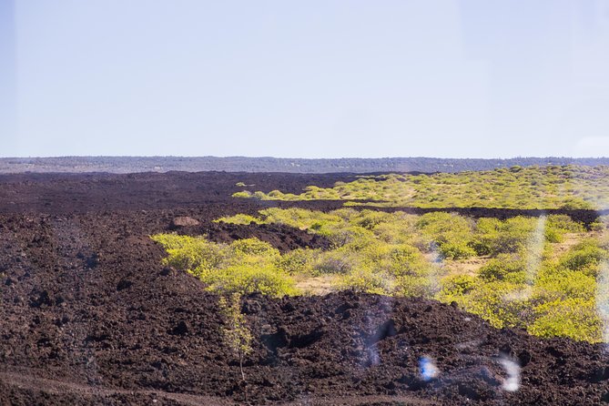 Day Trip from Oahu to Hilo: Volcano Adventure - Final Thoughts on the Experience