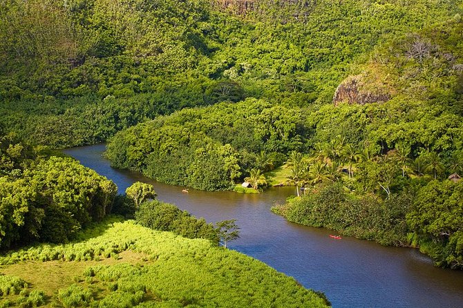 Day Trip from Oahu to Kauai: Waimea Canyon & Wailua River - The Kauai Coffee Plantation & Panoramic Views