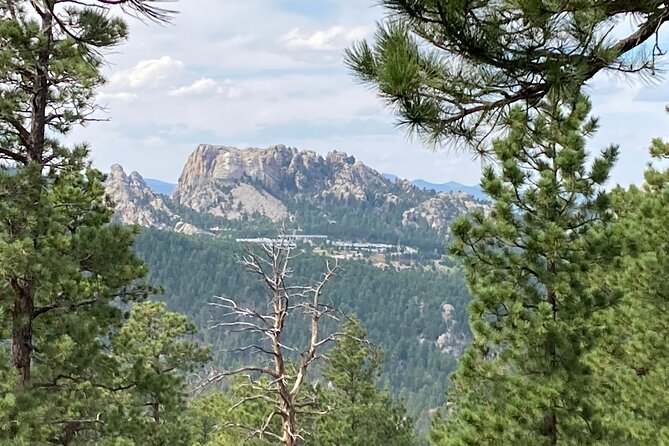Day trip of the Black Hills: Mount Rushmore to Custer State Park! - Iron Mountain Road: Scenic Engineering
