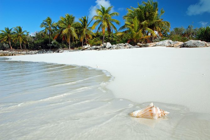 Day Trip to Bimini, Bahamas - Ferry Tickets - The Sum Up