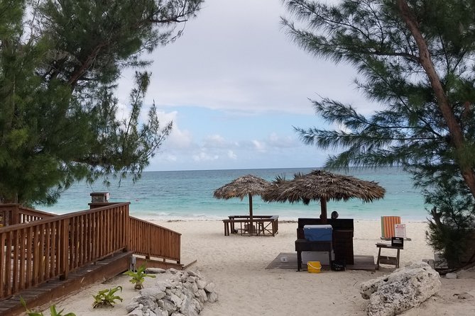 Day Trip To Freeport, Grand Bahama - Tickets only - Who Would Love This Tour?