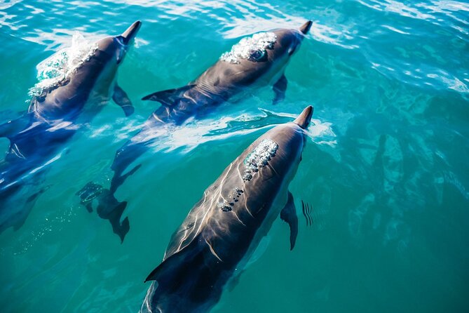 Day Trip to Key West with Optional Activities from Miami - Is it Worth the Price?