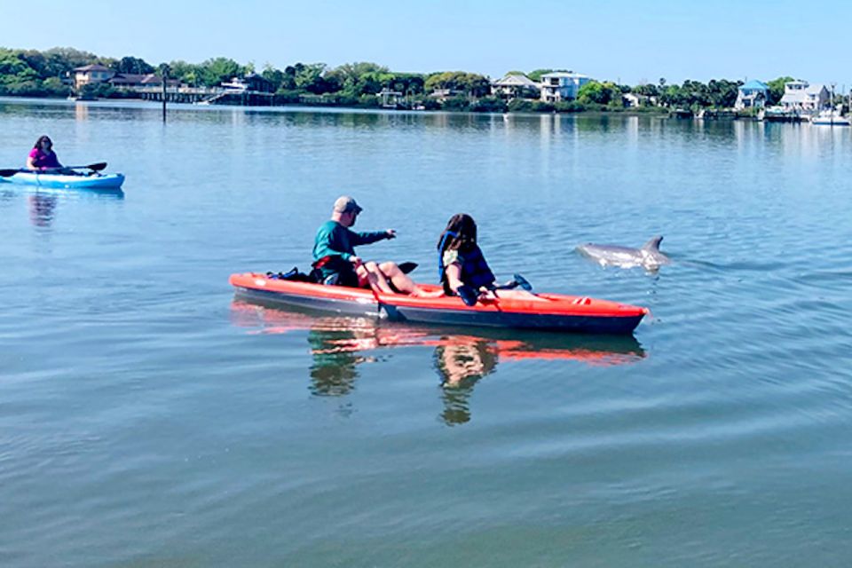 Daytona Beach: Guided Kayaking or Standup Paddling Tour - Who Should Consider This Tour?