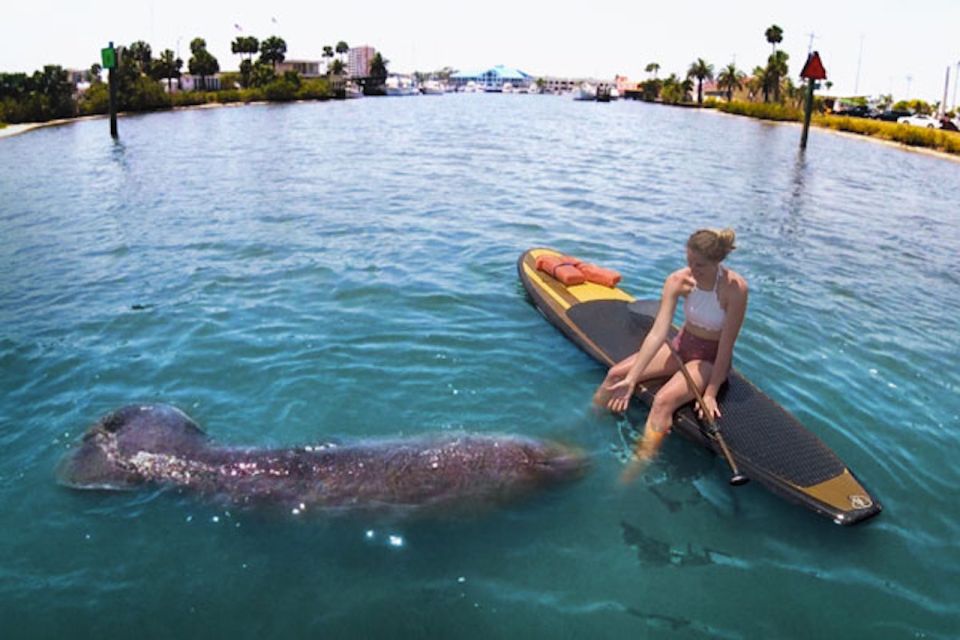 Daytona Beach: Guided Kayaking or Standup Paddling Tour - FAQs