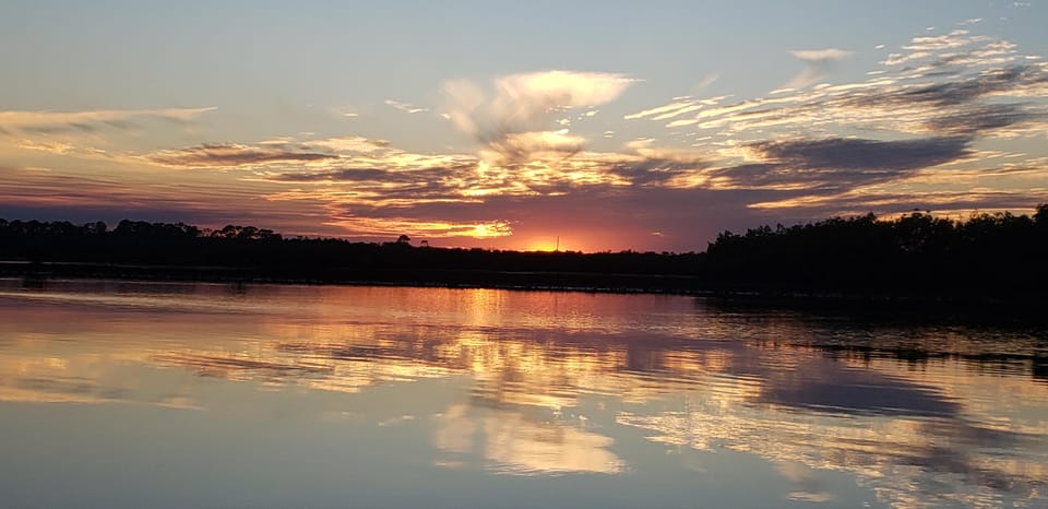 Daytona/New Smyrna Beach: Unforgettable Kayak Wildlife tours - The Itinerary in Detail  