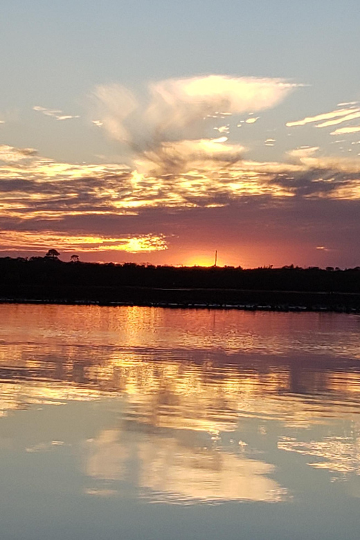 Daytona/New Smyrna Beach: Unforgettable Kayak Wildlife tours - Personal Highlights from Reviews  