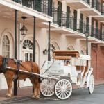 DayWalkers Tour - Practical Details & What to Expect