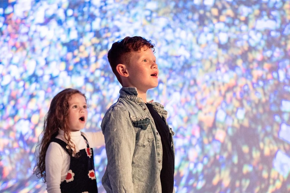 DC: All Creation Sings- Museum of the Bible Exhibition Entry - The Sum Up