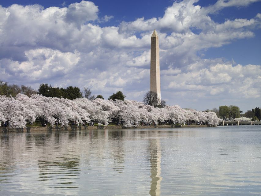 DC: Tour with U.S. Capitol Ground Access - Final Thoughts