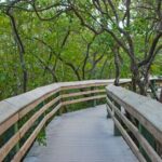 De Soto National Memorial Nature Walk Eco Tour - Final Thoughts