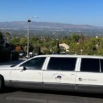 Death Becomes Her Funeral Limo Tour of Los Angeles - The Sum Up