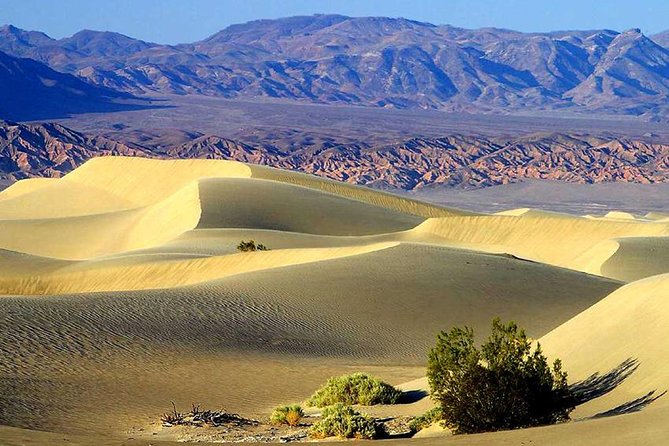 Death Valley Day Trip from Las Vegas - In-Depth: What to Expect on This Death Valley Adventure