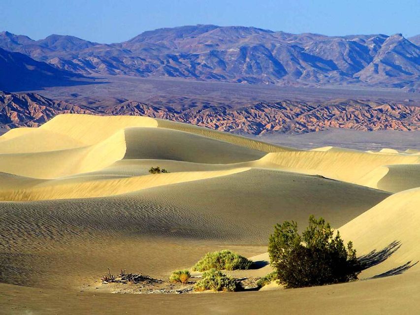 Death Valley: Full-Day Tour from Las Vegas - Introducing the Death Valley Full-Day Tour from Las Vegas