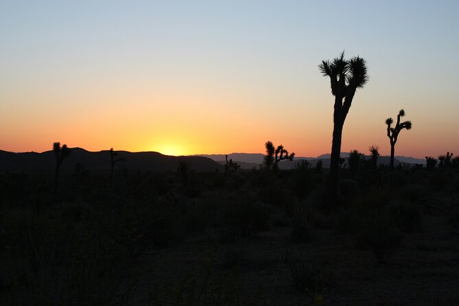 Death Valley Small Group Day Tour with Sunset and Stargazing - The Experience: What You Can Expect