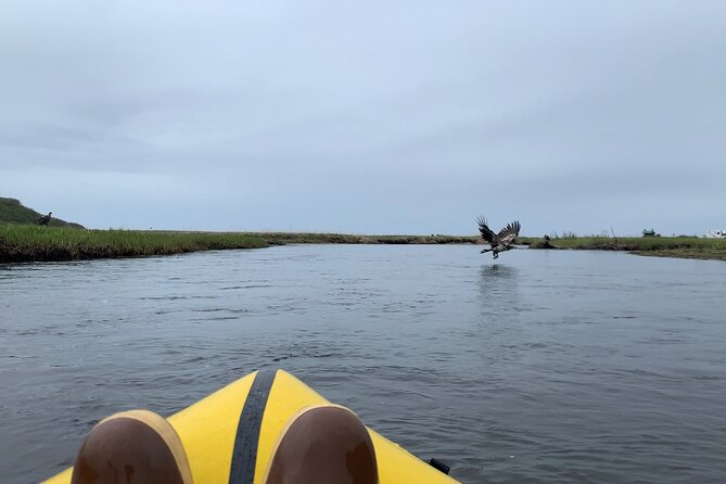 Deep Creek 1/2 Day Packraft Tour - An In-Depth Look at the Deep Creek Packraft Tour