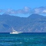 Deep Sea Fishing Charter in Waikiki, Hawaii - The Experience: What to Expect from Your Deep-Sea Fishing Tour in Waikiki