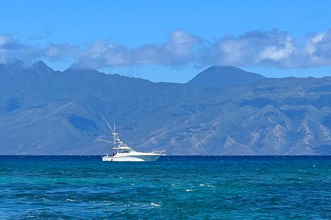 Deep Sea Fishing Charter in Waikiki, Hawaii - The Experience: What to Expect from Your Deep-Sea Fishing Tour in Waikiki