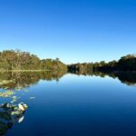 DeLeon Springs River Boat Tour - The Itinerary: What to Expect