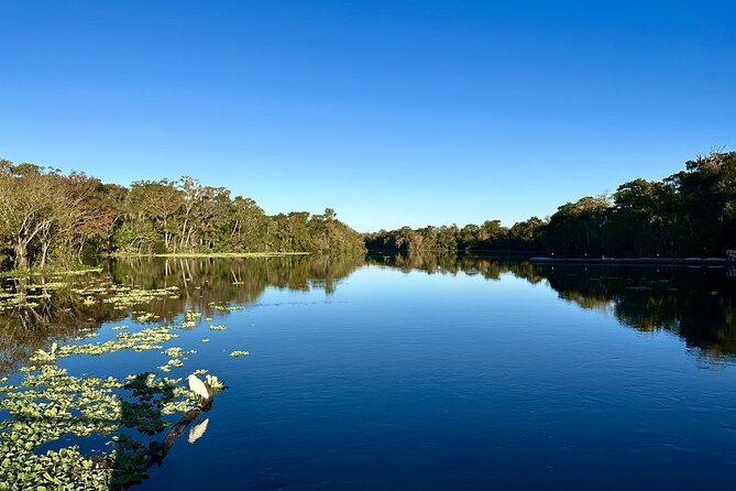 DeLeon Springs River Boat Tour - The Itinerary: What to Expect