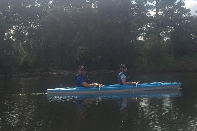 Delta Wildlife Kayak Tour - Why Choose the Delta Wildlife Kayak Tour?
