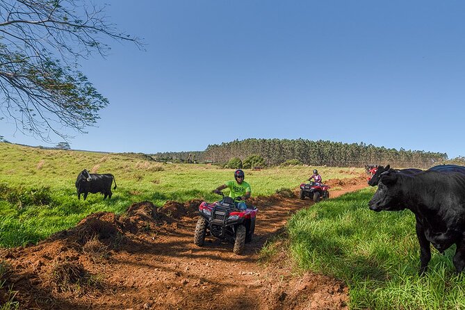 Deluxe ATV Waterfall and Swim Experience - The Sum Up