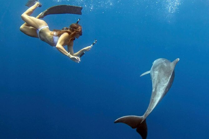 Deluxe Catamaran Swim with Dolphins in Oahu with Waterslide - FAQs